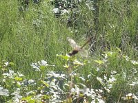 大商談会3日目 | 店舗おススメ情報 | タイヤ館 米沢