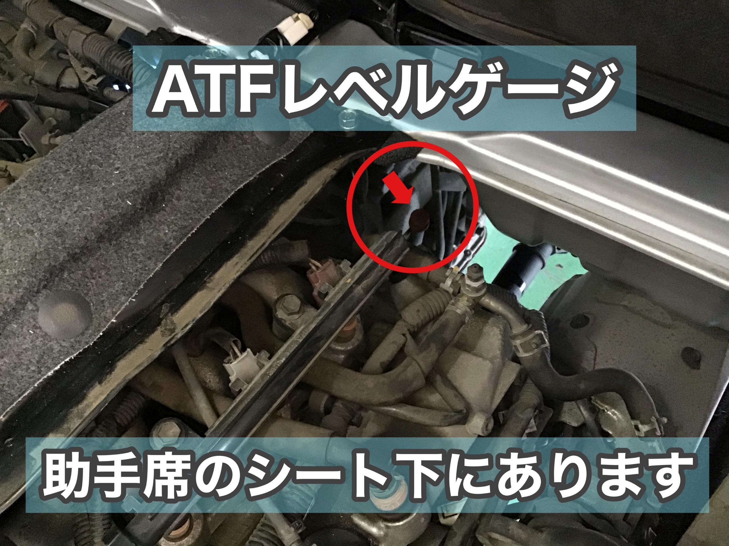 ATF &CVTF の交換もお任せください | 店舗おススメ情報 | タイヤ館 柏崎（新潟県）