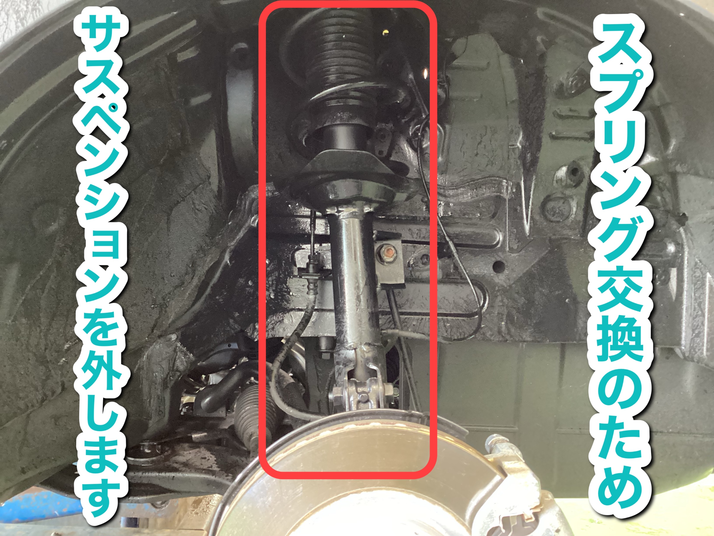 ライズ tanabe DEVIDE UP210 リフトアップスプリング | 店舗おススメ情報 | タイヤ館 六日町（新潟県）