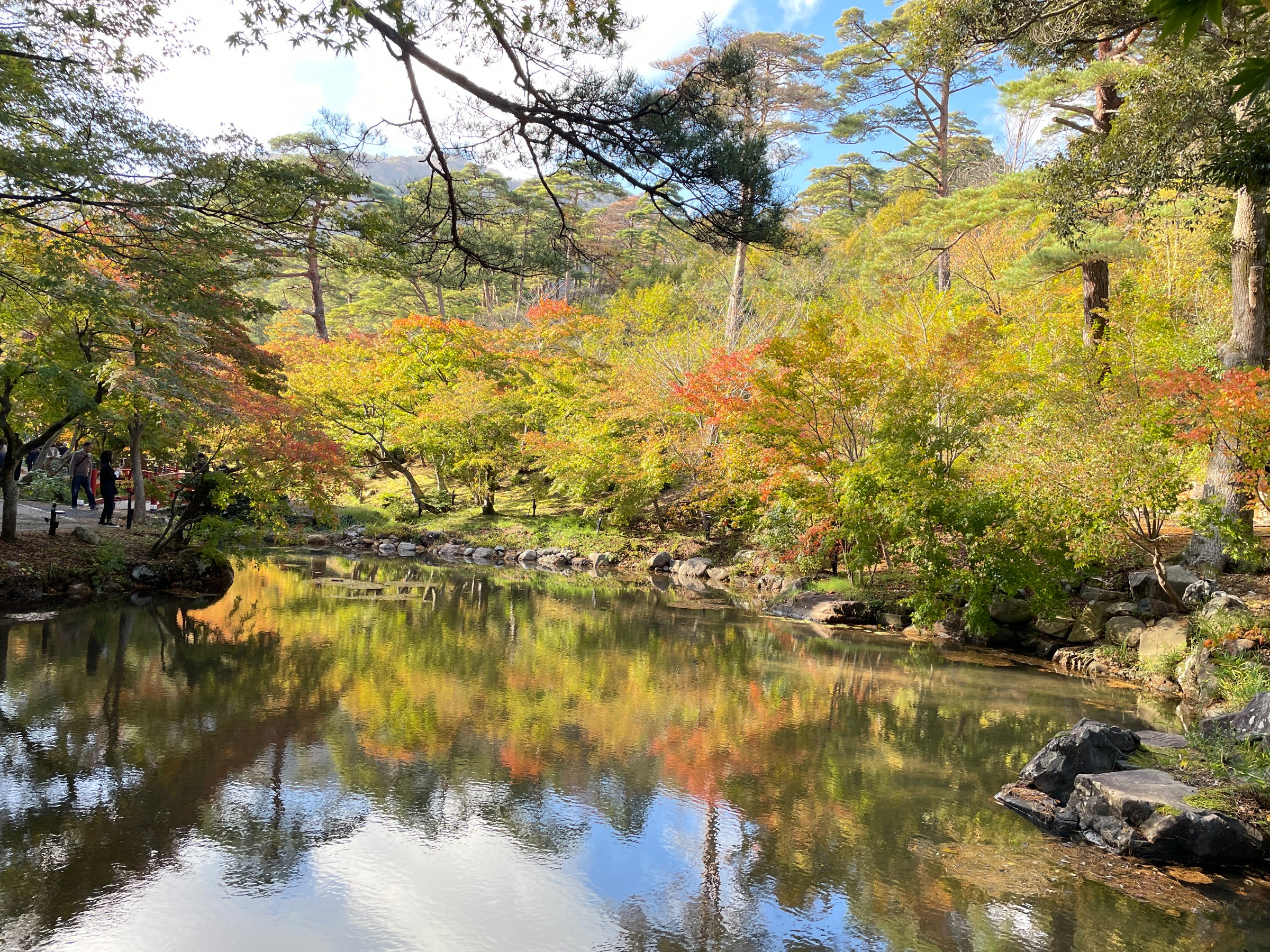 弥彦神社へ菊まつり＆弥彦公園（もみじ谷）紅葉を見に行ってきました ♪ スタッフ日記 タイヤ館 小千谷 新潟県のタイヤ、カー用品