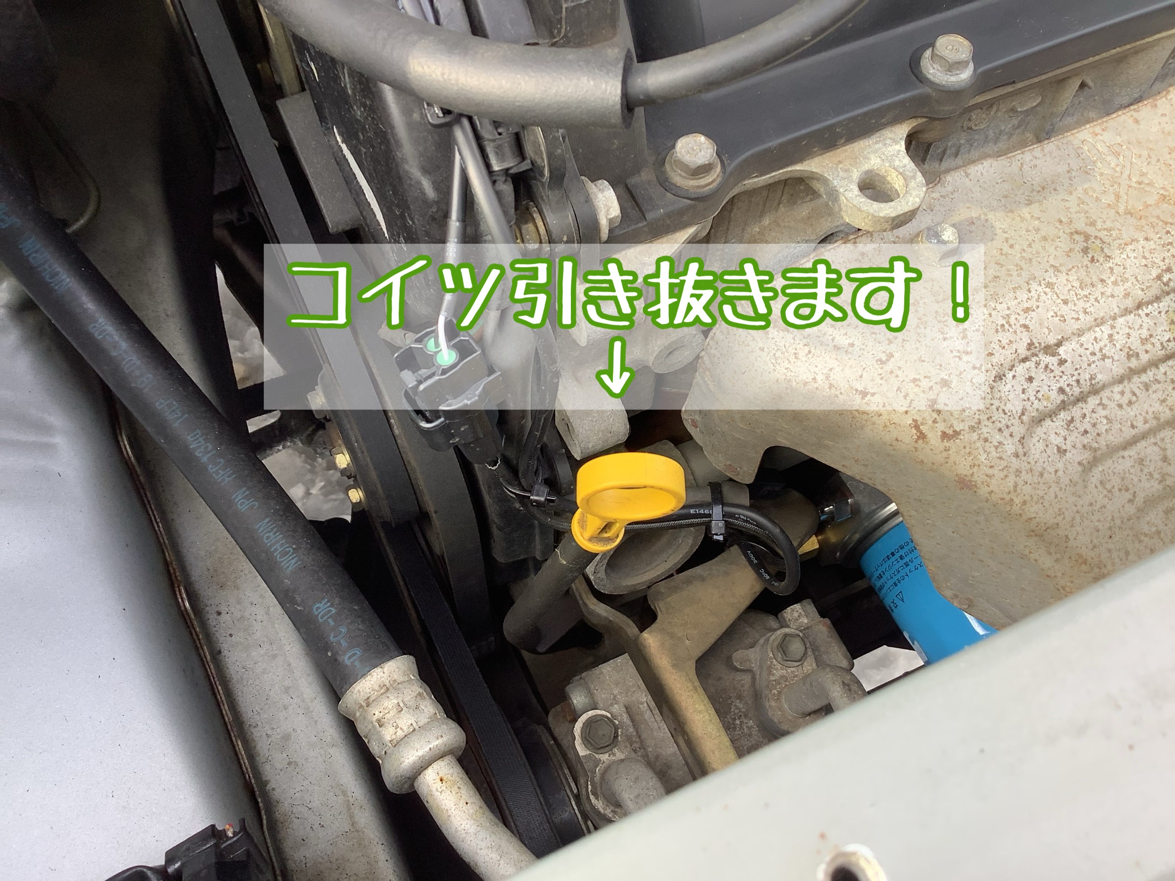 超簡単！！オイルの汚れの確認方法 | 店舗おススメ情報 | タイヤ館 新発寒（北海道）