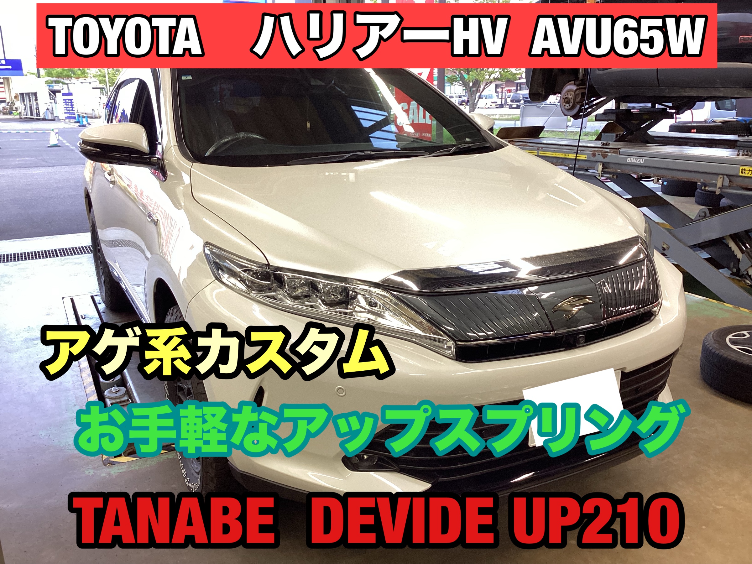 【TOYOTA ハリアーハイブリッド】TANABE DEVIDE UP210 アップサス・スプリング取付！ | 店舗おススメ情報 | タイヤ館 GP新潟横越（新潟県）
