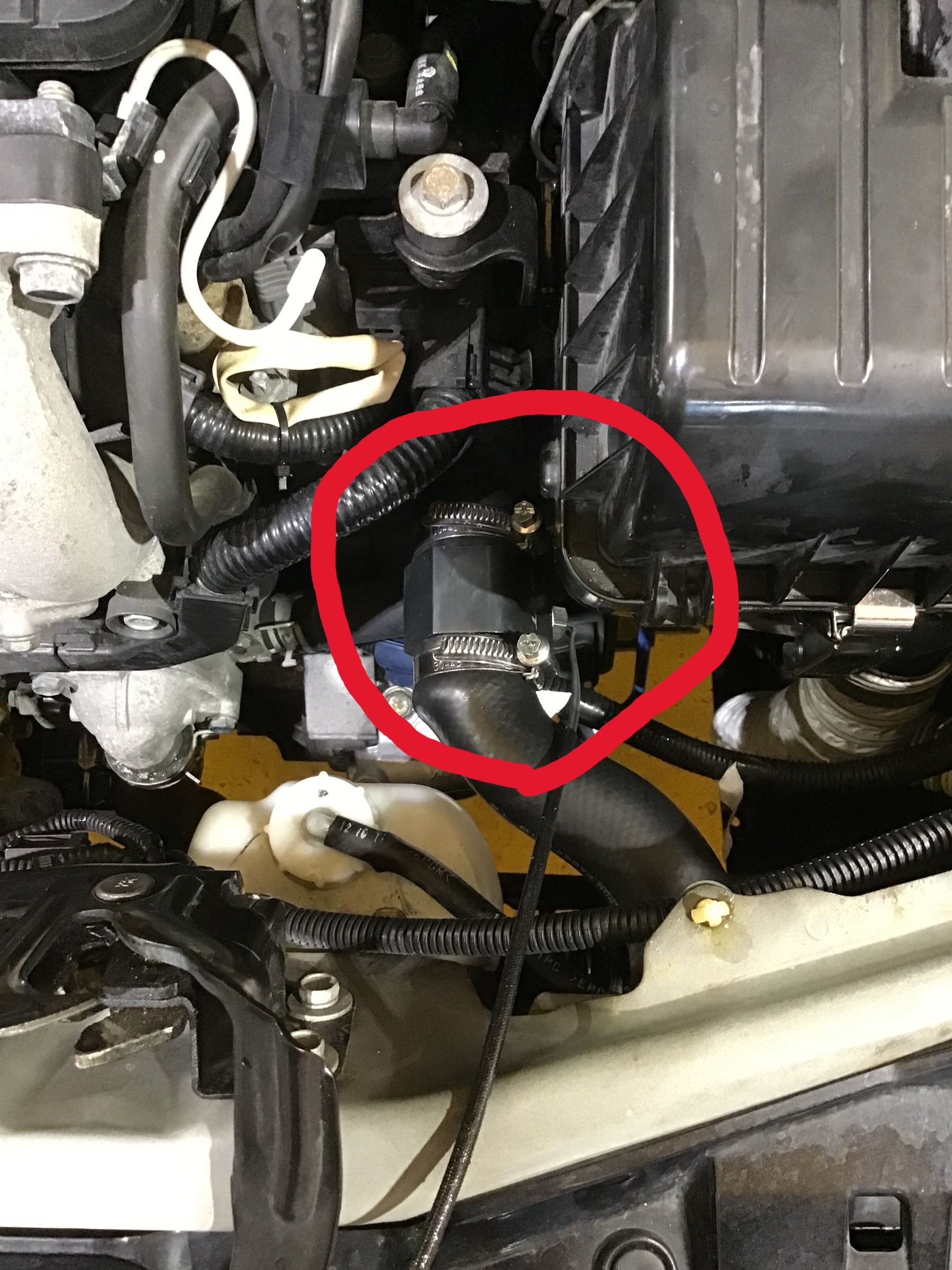 Pivot プロモニター取付！ | 店舗おススメ情報 | タイヤ館 長岡西（新潟県）